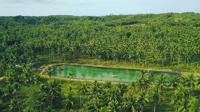 Siargao Wakepark Opens On July 22 And Entrance Is Free