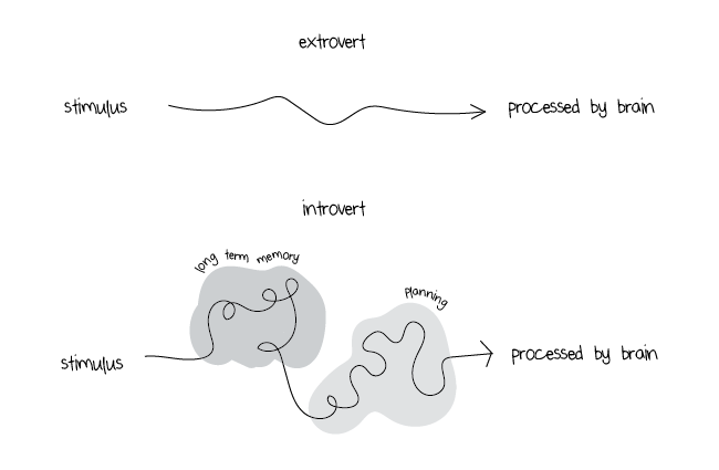An Illustrated Guide: Inside and Introvert and an Extrovert's Head