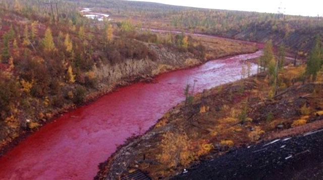 OMG! A River in Russia Just Turned Blood Red