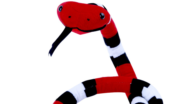 Want A Free Snake From Robinsons Department Store?
