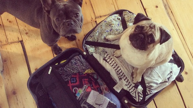 21 Packing Problems Only Women Understand