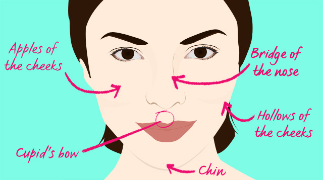 Parts Of Your Face: A Cheat Sheet