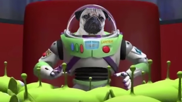 Here Is A Pug Starring In All Your Favorite Disney Movies