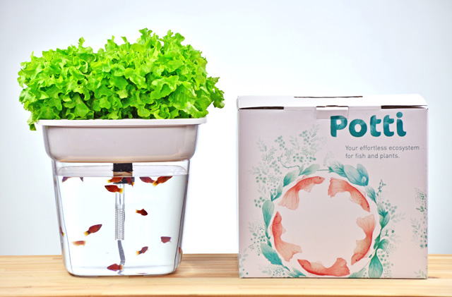 We Found The Smallest and Most Affordable Hydroponics Planter | Real Living