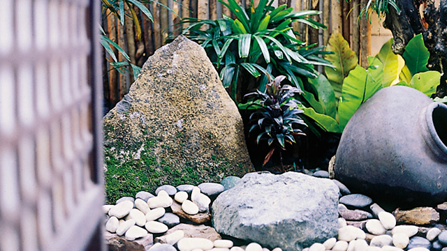 Pocket Gardens Definition | Fasci Garden