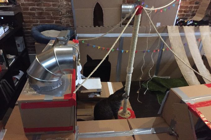 This Huge and Adorable Cat Fort Is Worth Recreating at Home