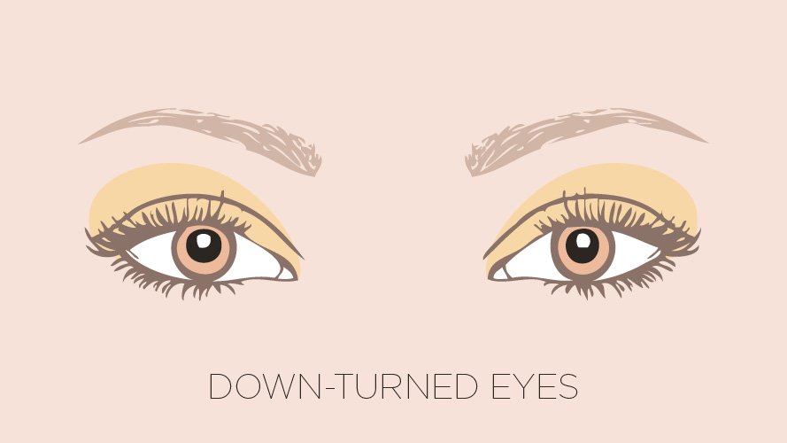 The Proper Way to Apply Eyeshadow Based on Your Eye Shape