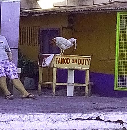 10 Random Photos to Start Your Week