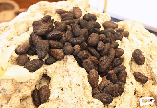 Interview with Chocolate Queen Racquel T. Choa