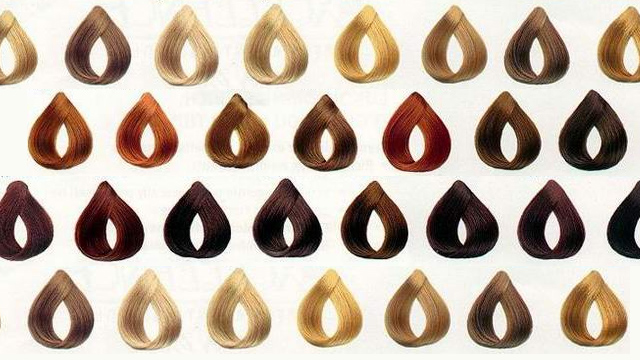 Watsons Color Your Hair Day Saturday, May 27