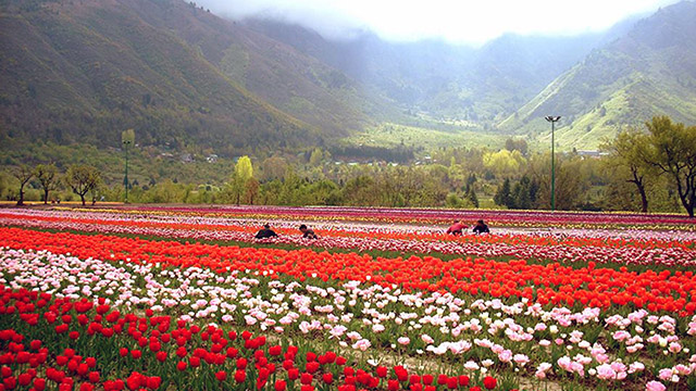 Video: The Most Colorful Places to Visit in Asia