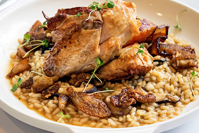 Best Risotto in Manila