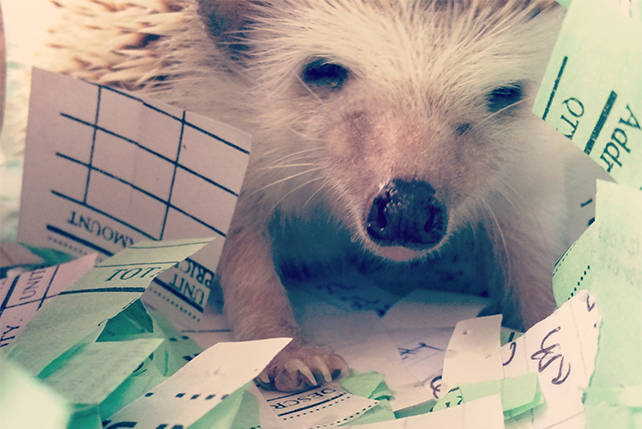 10 Random Photos to Start Your Week