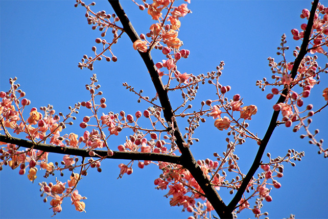 10 Random Photos to Start Your Week