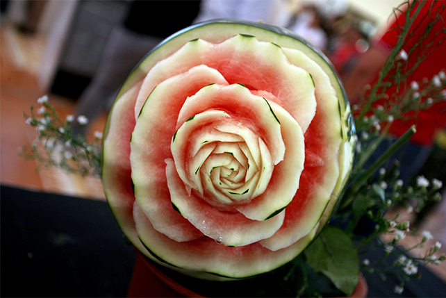 10 Random Photos to Start Your Week