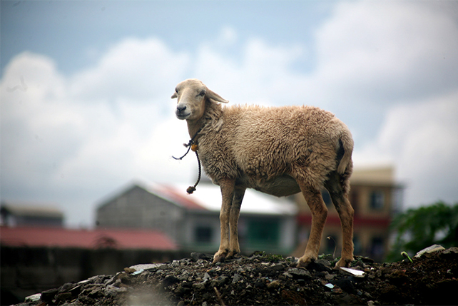 10 Random Photos to Start Your Week