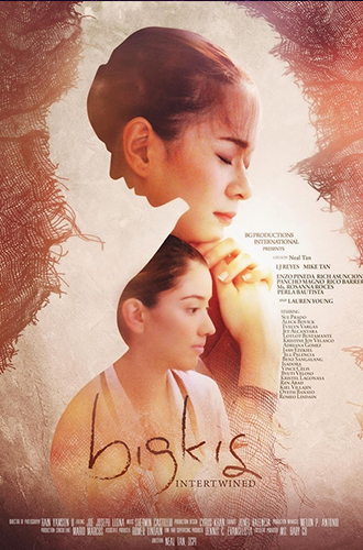 The 10 Most Attention-Grabbing Local Movie Posters from 2014