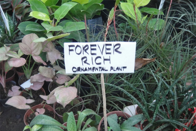 10 Random Photos to Start Your Week